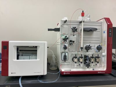 アルバム - 生物分子化学研究室 - 北海道大学大学院工学研究院・工学部・総合化学院